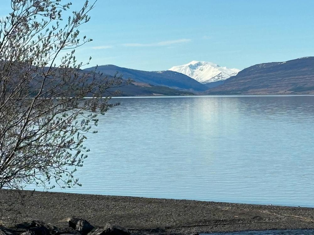 Accommodation in East Iceland for rent